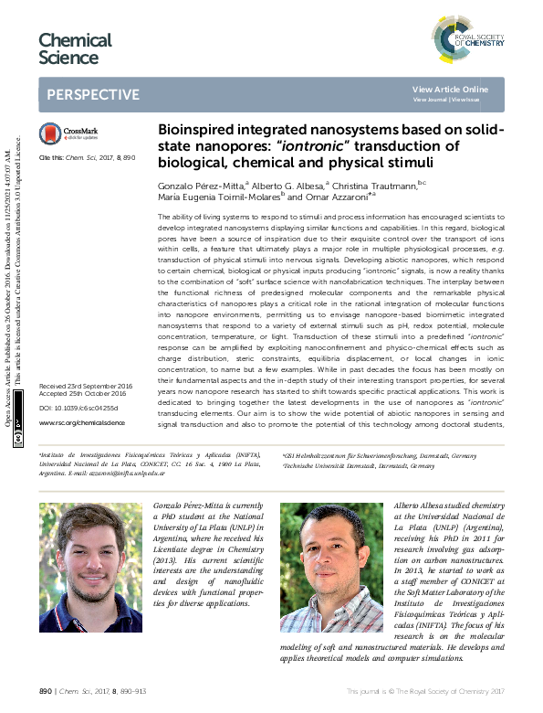 (PDF) Bioinspired integrated nanosystems based on solid-state nanopores: “iontronic ...