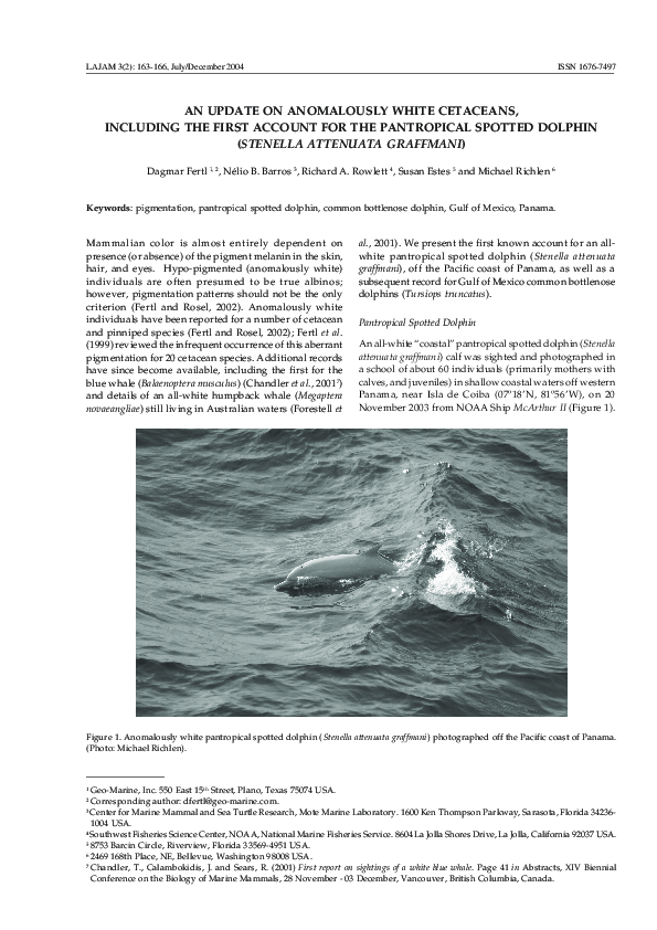 (PDF) An update on anomalously white cetaceans, including the first ...
