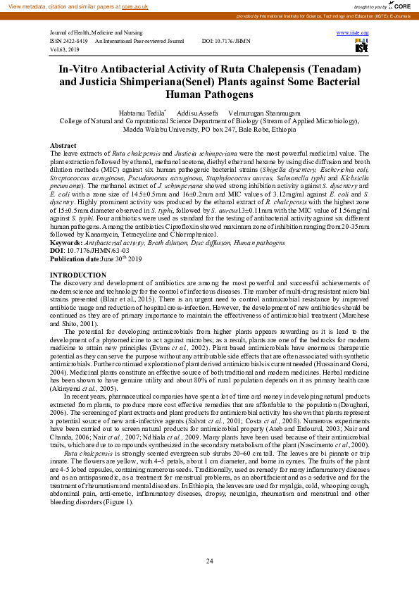 (PDF) In-Vitro Antibacterial Activity of Ruta Chalepensis (Tenadam) and ...