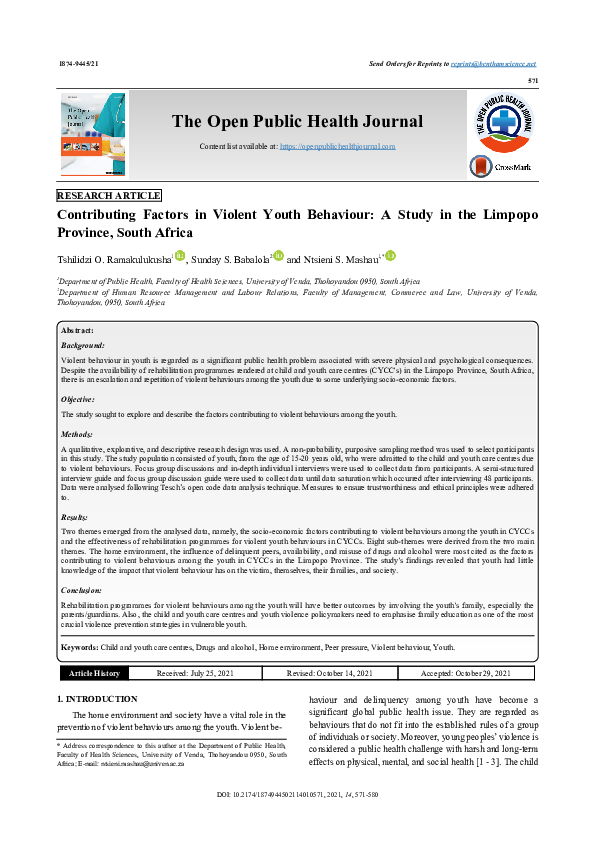 (PDF) Contributing Factors in Violent Youth Behaviour: A Study in the ...