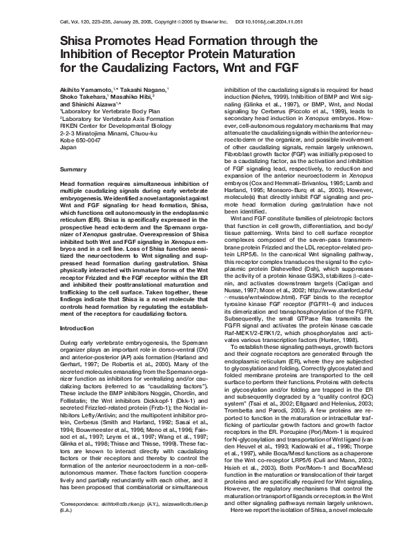 (PDF) Shisa Promotes Head Formation through the Inhibition of Receptor ...
