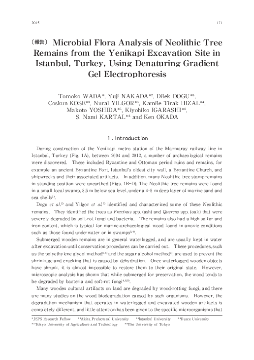 (PDF) 〔報告〕 Microbial Flora Analysis of Neolithic Tree Remains from the ...