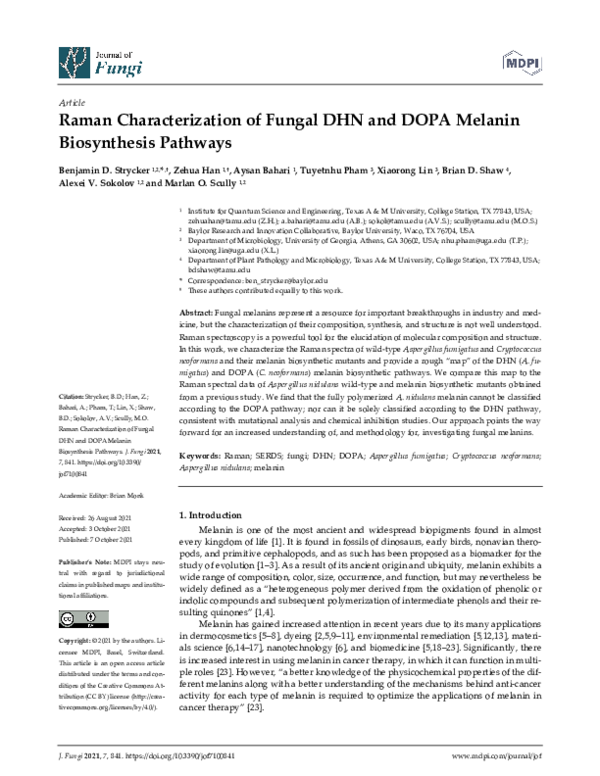 (PDF) Raman Characterization of Fungal DHN and DOPA Melanin ...