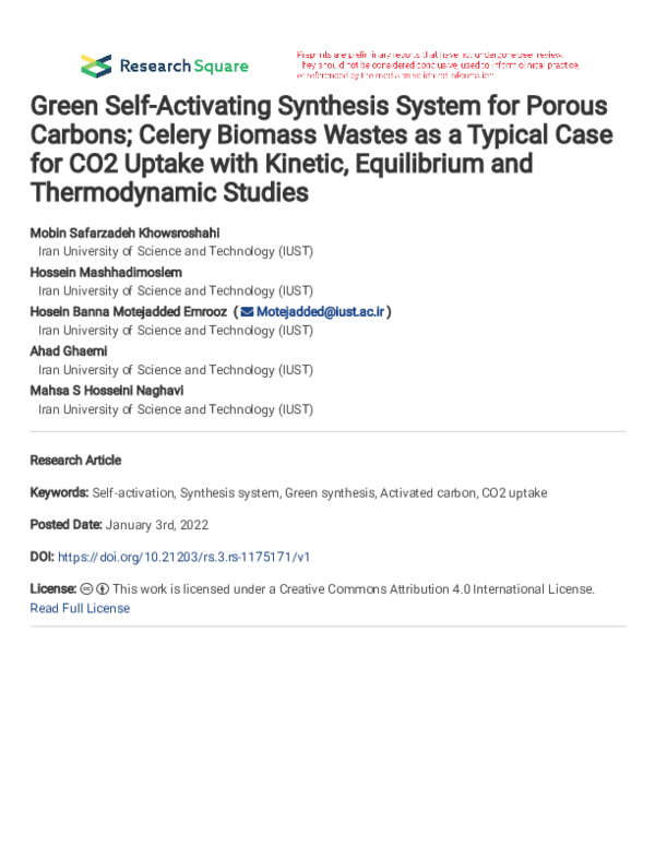 (PDF) Green Self-Activating Synthesis System for Porous Carbons; Celery ...