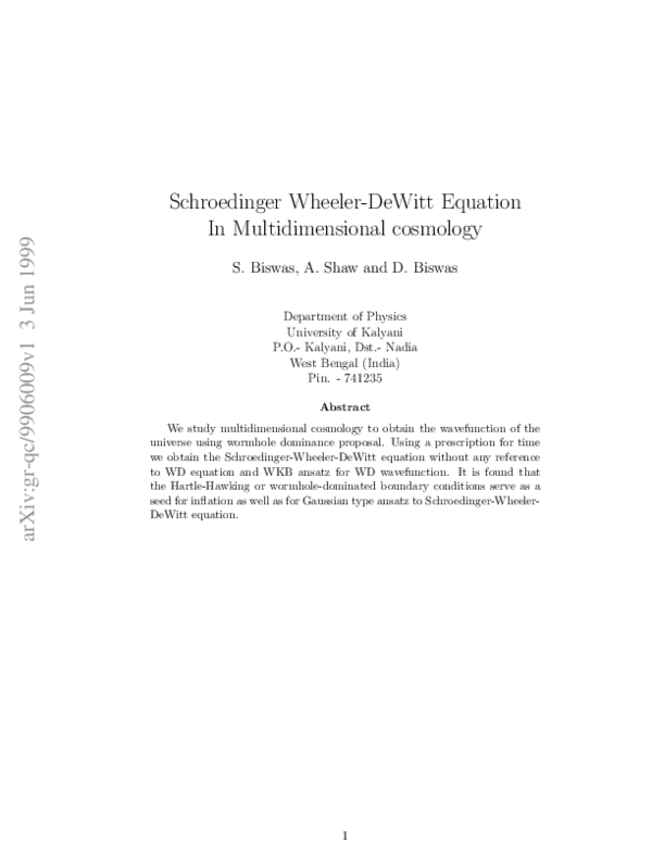 (PDF) Schrödinger–Wheeler–Dewitt Equation in Multidimensional Cosmology