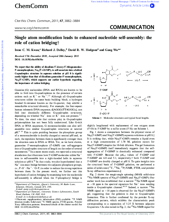 (PDF) Single atom modification leads to enhanced nucleotide self ...