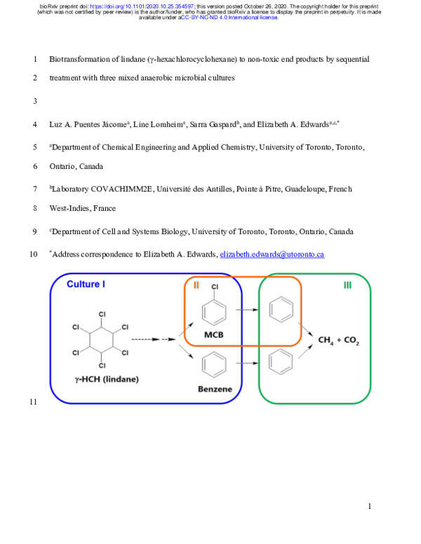 (PDF) Biotransformation of lindane (γ-hexachlorocyclohexane) to non ...