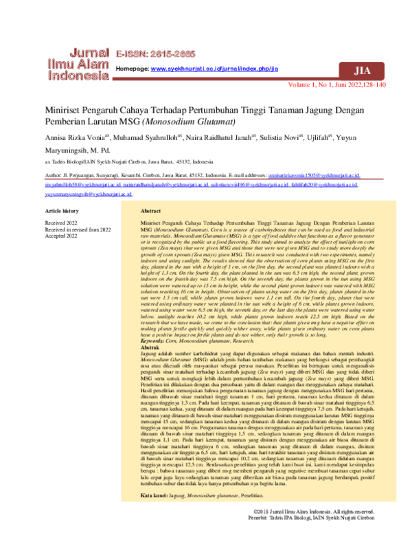 (PDF) Miniriset Pengaruh Cahaya Terhadap Pertumbuhan Tinggi Tanaman Jagung dengan Pemberian ...