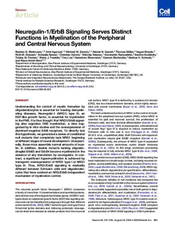 (PDF) Neuregulin-1/ErbB Signaling Serves Distinct Functions in ...