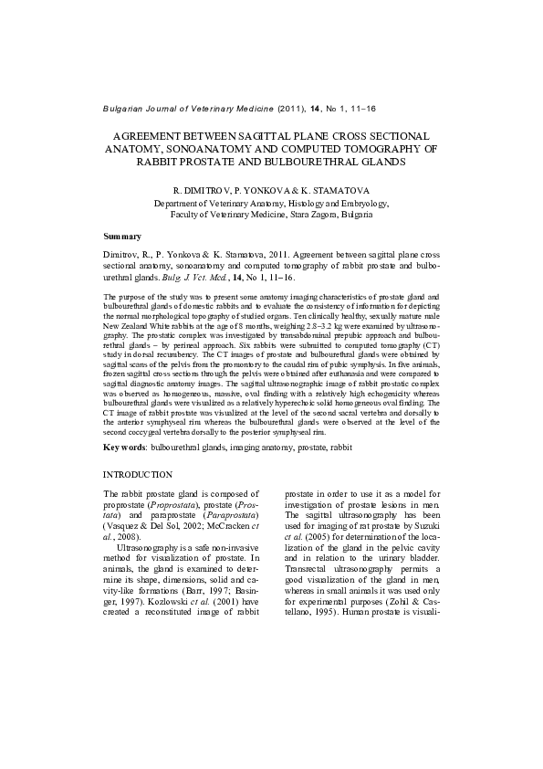 (PDF) Agreement between sagittal plane cross sectional anatomy ...