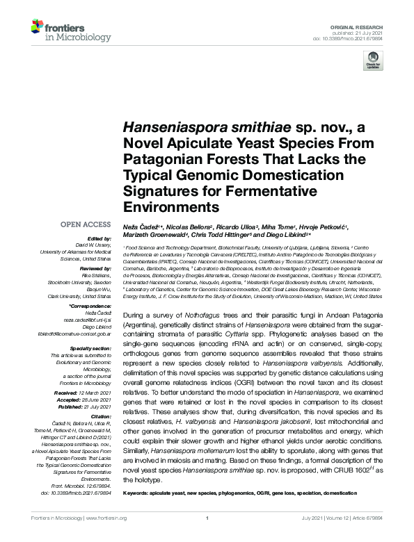 Pdf Hanseniaspora Smithiae Sp Nov A Novel Apiculate Yeast Species From Patagonian Forests
