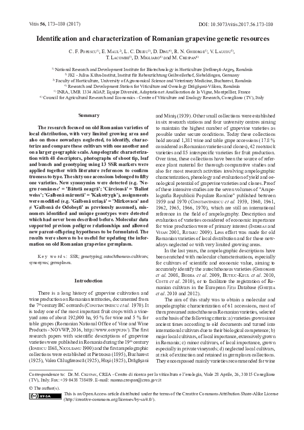 (PDF) Identification and characterization of Romanian grapevine genetic ...