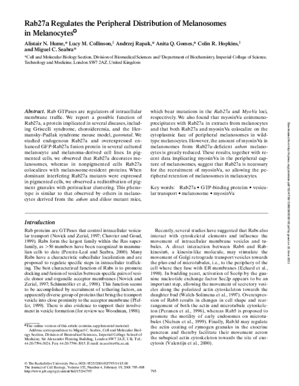 (PDF) Rab27a Regulates the Peripheral Distribution of Melanosomes in ...