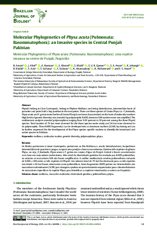 (PDF) Molecular Phylogenetics of Physa acuta (Pulmonata: Basommatophora ...