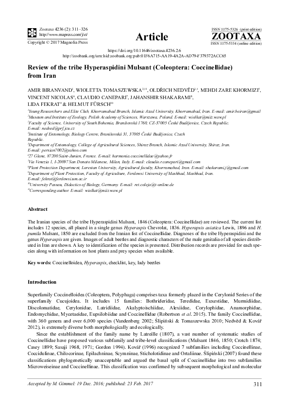 (PDF) Review of the tribe Hyperaspidini Mulsant (Coleoptera ...