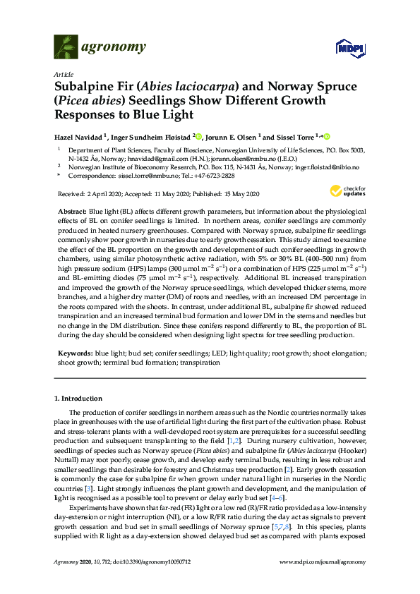 (PDF) Subalpine Fir (Abies laciocarpa) and Norway Spruce (Picea abies ...