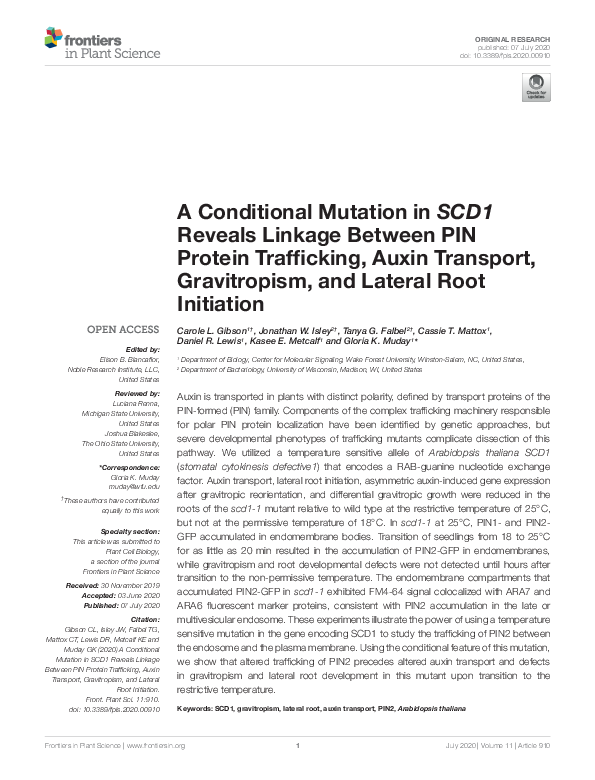 Pdf A Conditional Mutation In Scd1 Reveals Linkage Between Pin Protein Trafficking Auxin