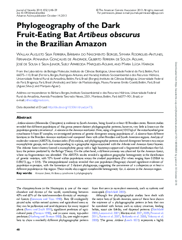 (PDF) Phylogeography of the Dark Fruit-Eating Bat Artibeus obscurus in ...