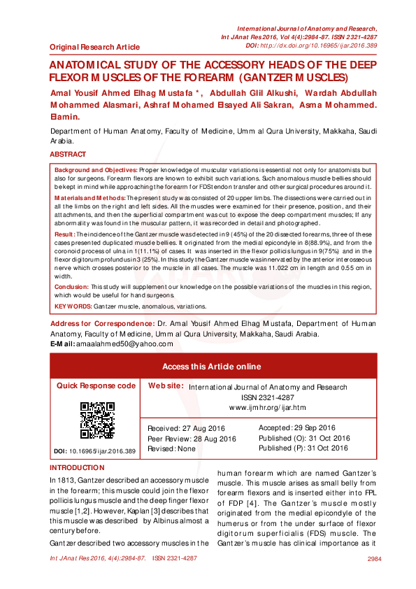 (PDF) Anatomical Study of the Accessory Heads of the Deep Flexor ...