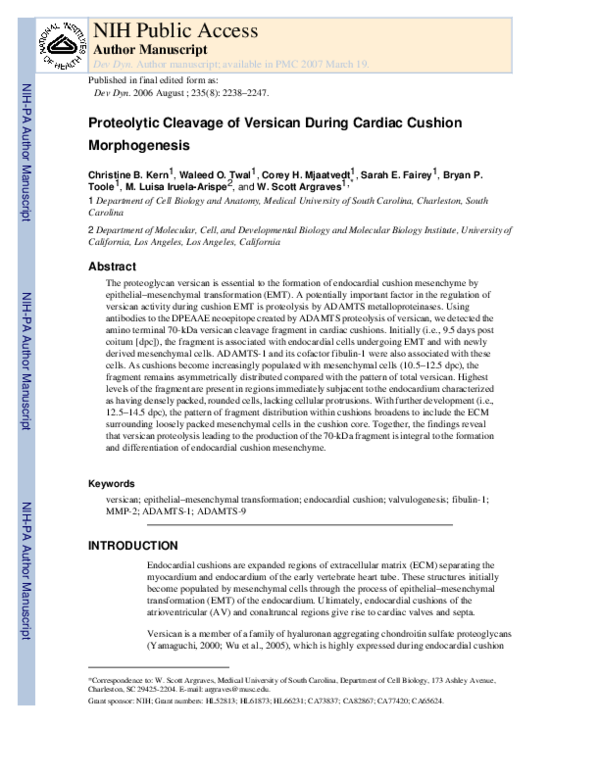 (PDF) Proteolytic cleavage of versican during cardiac cushion morphogenesis