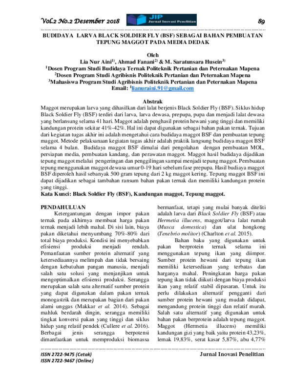 (PDF) Budidaya Larva Black Soldier Fly (BSF) Sebagai Bahan Pembuatan ...