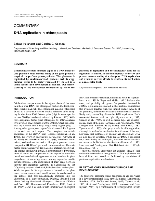 (PDF) DNA replication in chloroplasts
