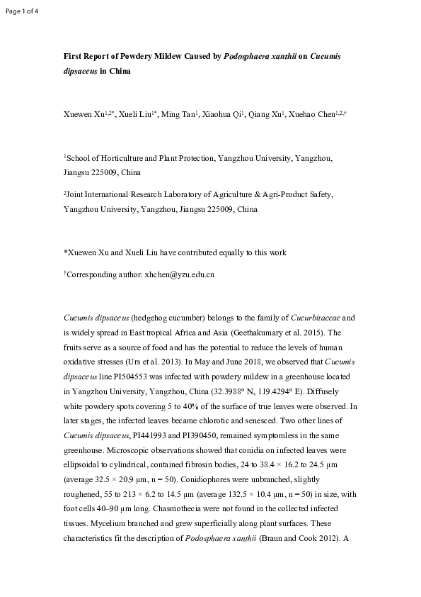 (PDF) First Report of Powdery Mildew Caused by Podosphaera pannosa on ...