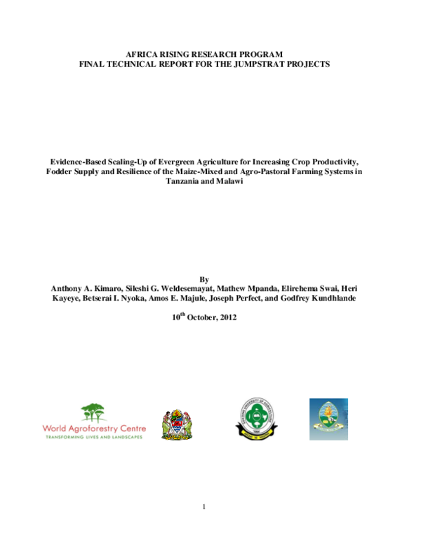 (PDF) AFRICA RISING RESEARCH PROGRAM FINAL TECHNICAL REPORT FOR THE JUMPSTRAT PROJECTS Evidence ...