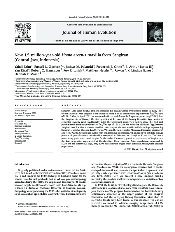 (PDF) New 1.5 million-year-old Homo erectus maxilla from Sangiran ...