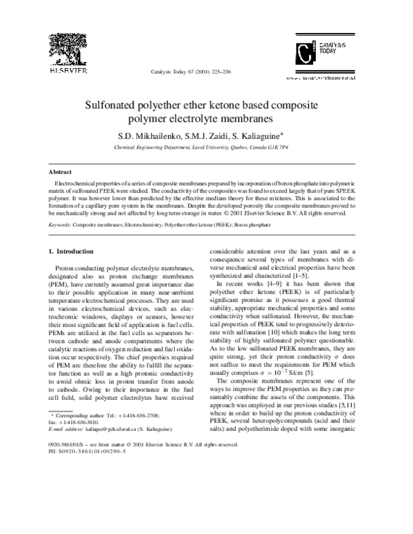 (PDF) Sulfonated polyether ether ketone based composite polymer ...