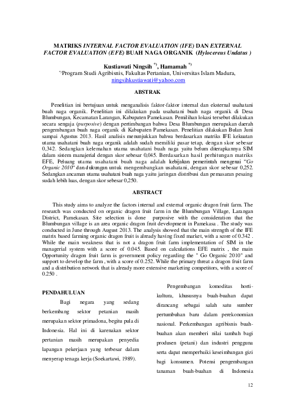 (PDF) MATRIKS INTERNAL FACTOR EVALUATION (IFE) DAN EXTERNAL FACTOR EVALUATION (EFE) BUAH NAGA ...