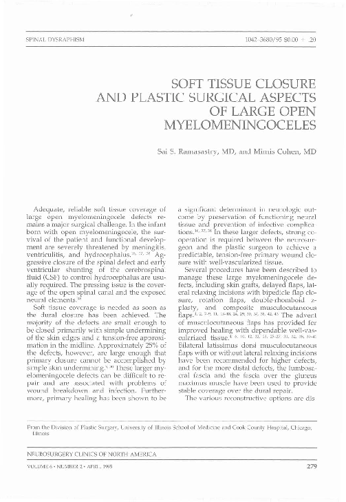 (PDF) Soft tissue closure and plastic surgical aspects of large dorsal ...