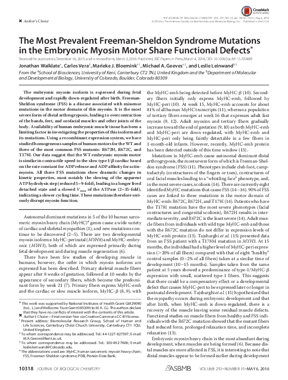 (PDF) The Most Prevalent Freeman-Sheldon Syndrome Mutations in the ...