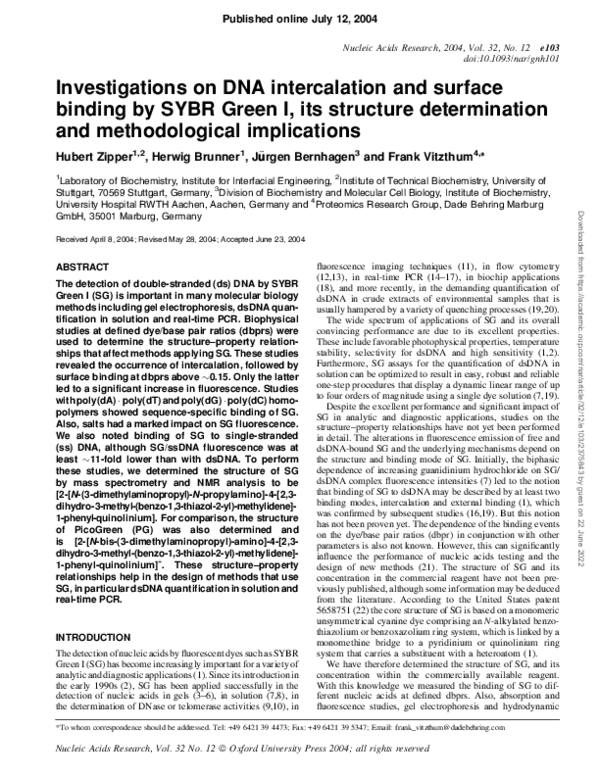 (PDF) Investigations on DNA intercalation and surface binding by SYBR ...