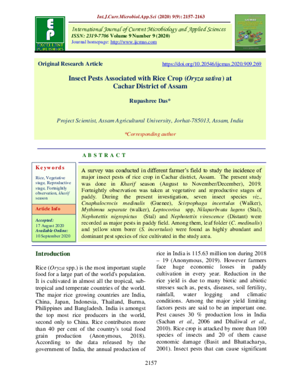 (PDF) Insect Pests Associated with Rice Crop (Oryza sativa) at Cachar ...