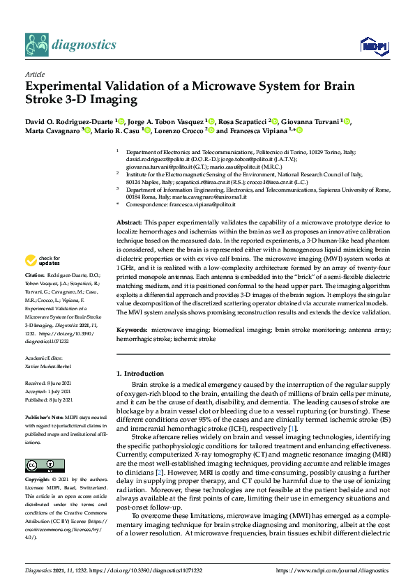 (PDF) Experimental Validation of a Microwave System for Brain Stroke 3 ...