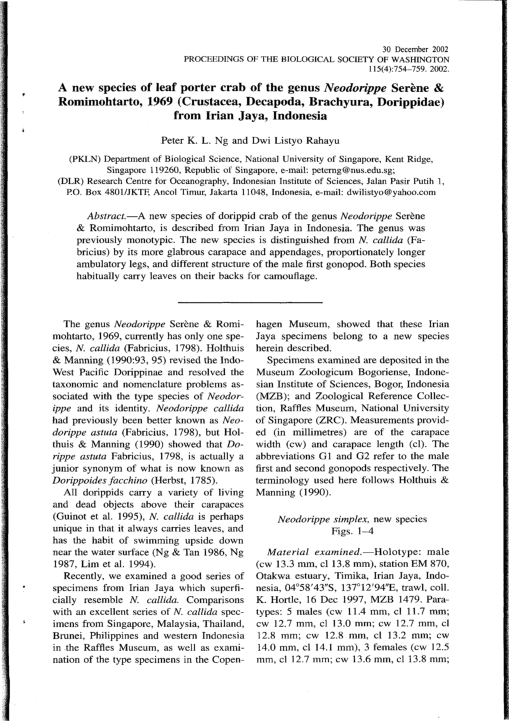 (PDF) A new species of leaf porter crab of the genus Neodorippe Serène ...