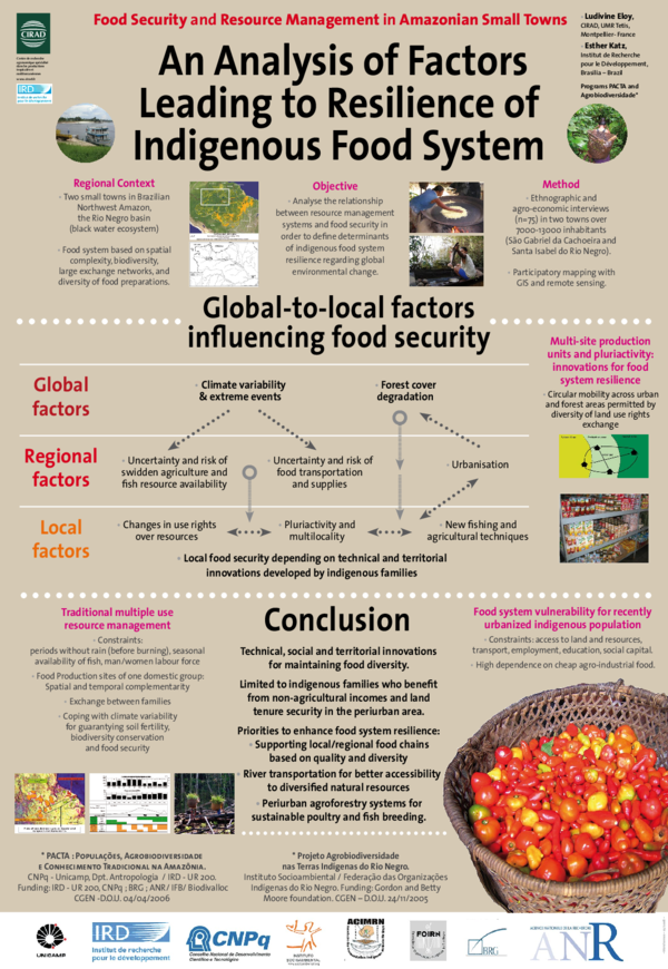 (PDF) Food security and resource management in Amazonian small towns ...