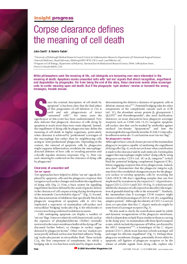 Corpse clearance defines the meaning of cell death