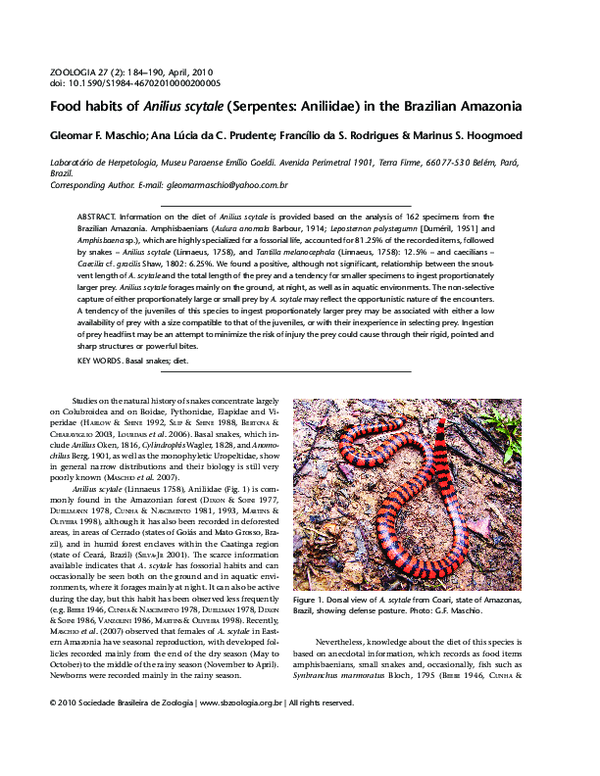 (PDF) Food habits of Anilius scytale (Serpentes: Aniliidae) in the ...