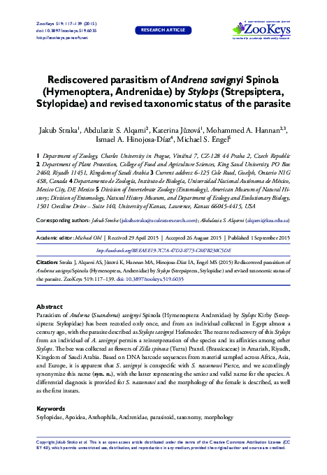 (PDF) Rediscovered parasitism of Andrena savignyi Spinola (Hymenoptera ...
