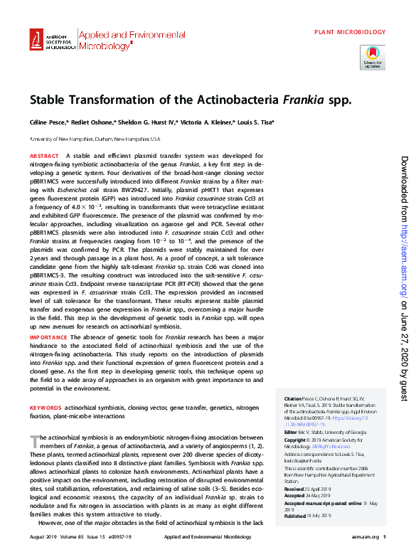 (PDF) Stable Transformation of the Actinobacteria Frankia spp