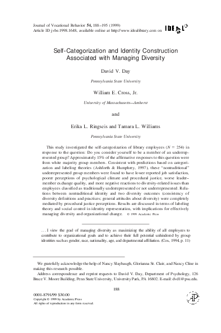 (PDF) Self-Categorization and Identity Construction Associated with ...