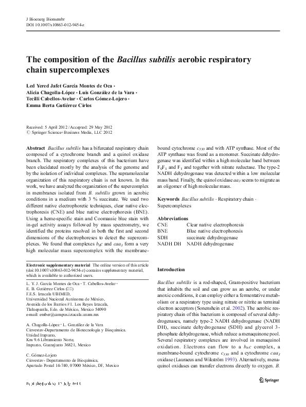 (PDF) The composition of the Bacillus subtilis aerobic respiratory ...