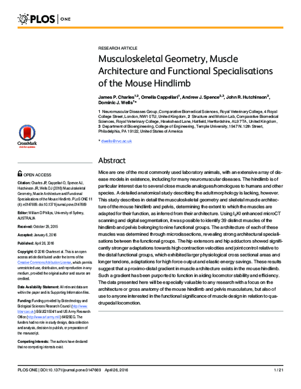 (PDF) Musculoskeletal Geometry, Muscle Architecture and Functional ...