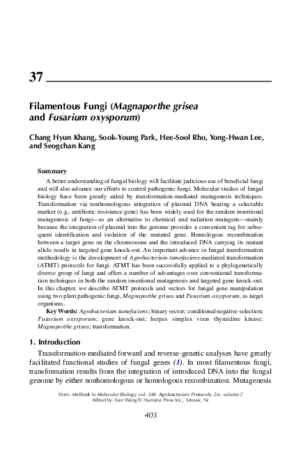 (PDF) Filamentous Fungi (Magnaporthe grisea and Fusarium oxysporum)