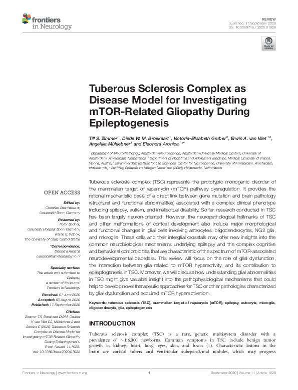 (PDF) Tuberous Sclerosis Complex as Disease Model for Investigating ...