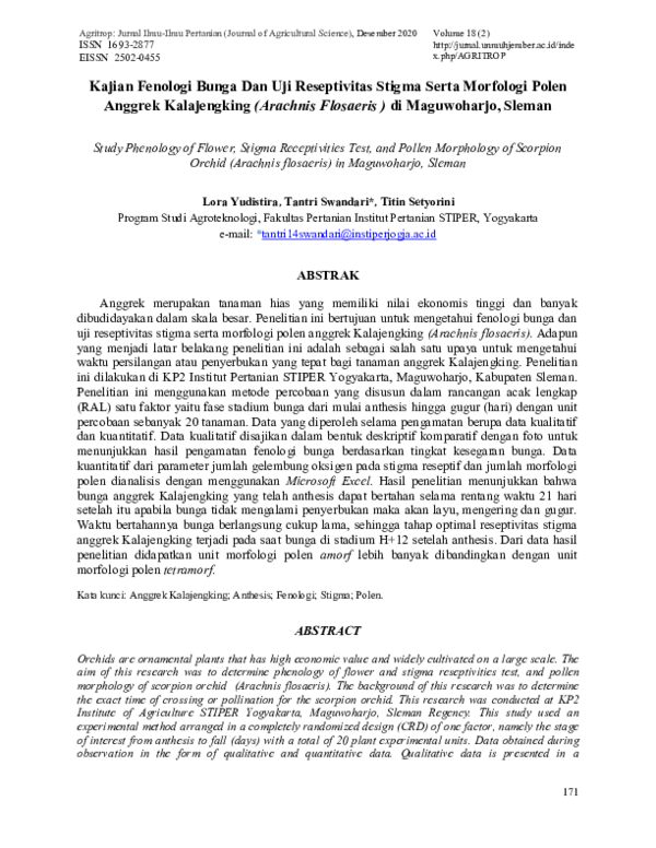 (PDF) Kajian Fenologi Bunga Dan Uji Reseptivitas Stigma Serta Morfologi Polen Anggrek ...