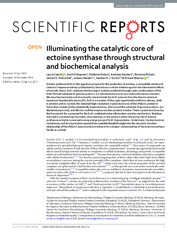 (PDF) Illuminating the catalytic core of ectoine synthase through ...