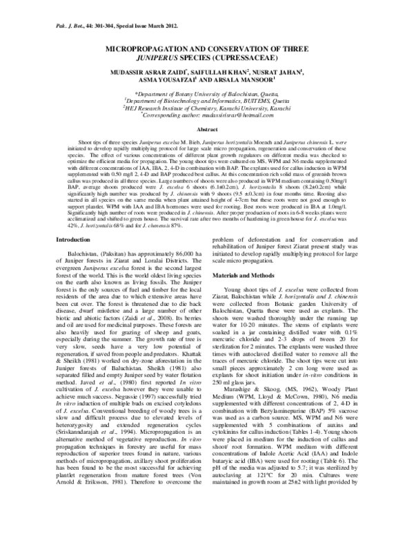 (PDF) Micropropagation of Three Juniperus Species